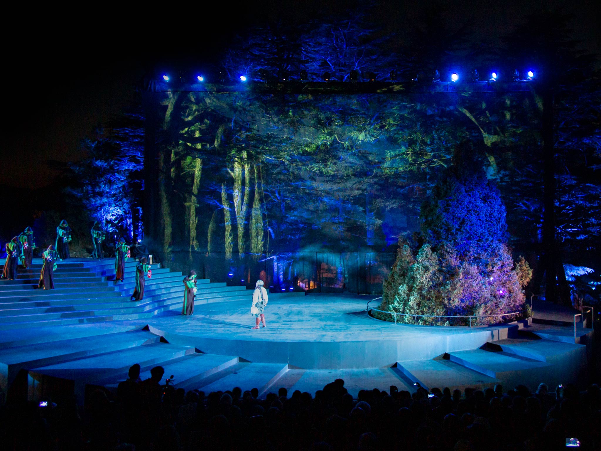 Enchanted Forest – Ideogamma